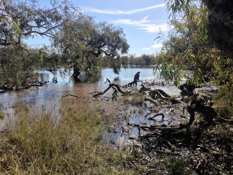 Dja Dja Wurrung | North Central Regional Catchment Strategy